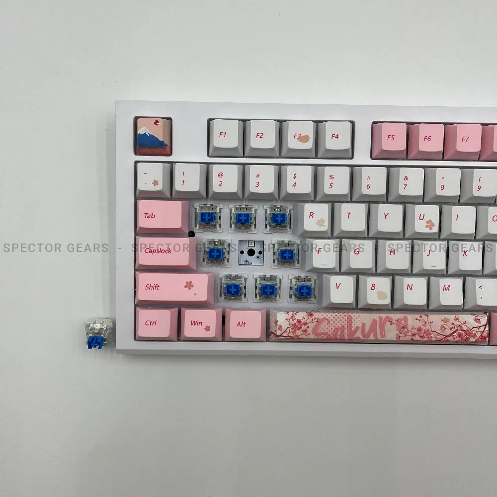 Alpha Series One x Sakura @ TK Computer KH, Cambodia
