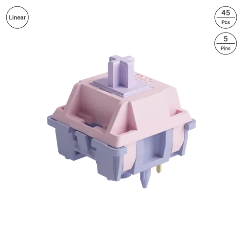 Switch @ TK Computer KH, Cambodia