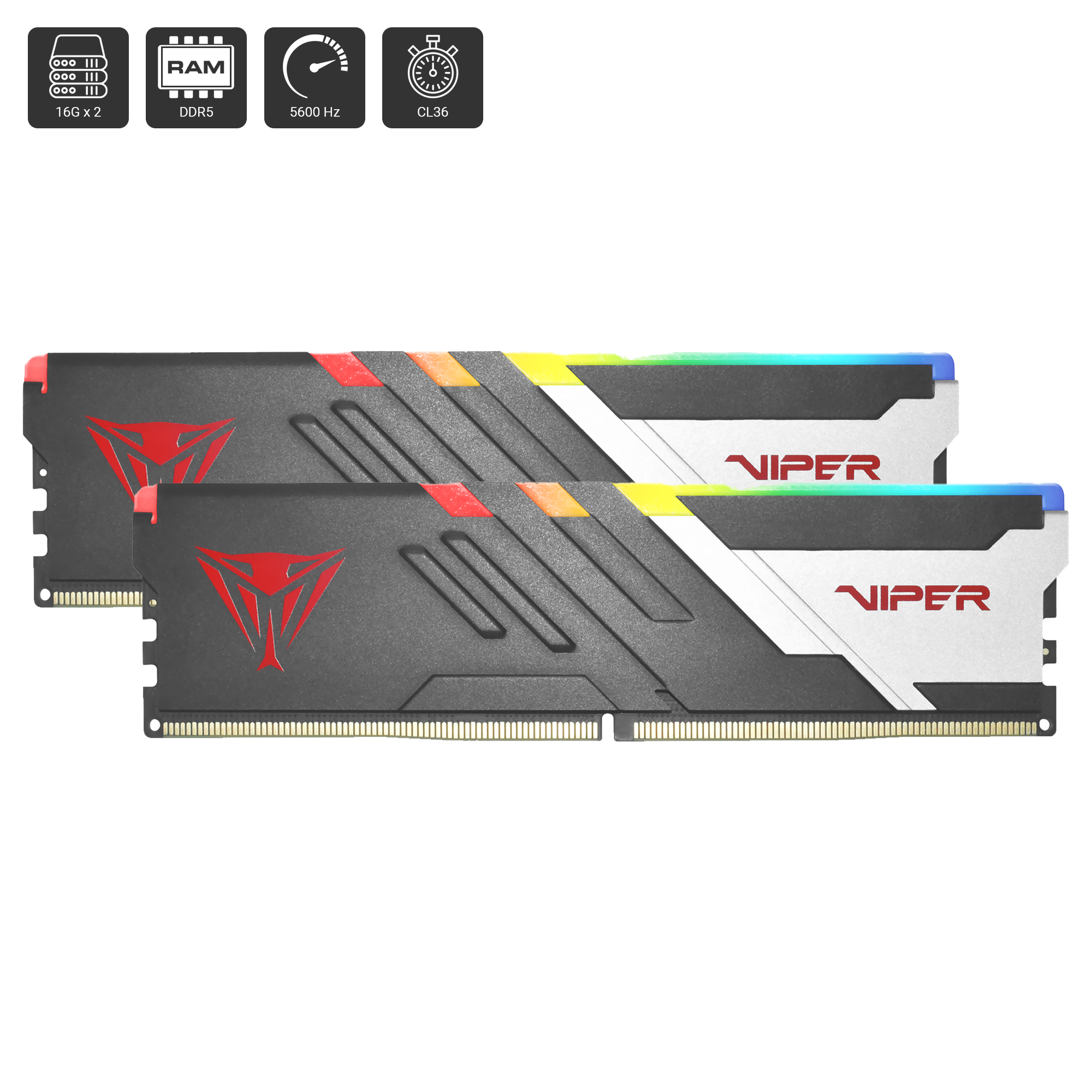Viper Venom RGB DDR5 32G (16G x 2) - TK Computer KH, Cambodia